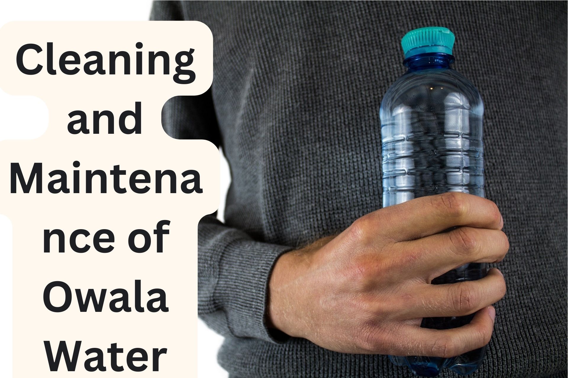 The Ultimate Guide To Owala Water Bottles: Stylish, Sustainable, And ...